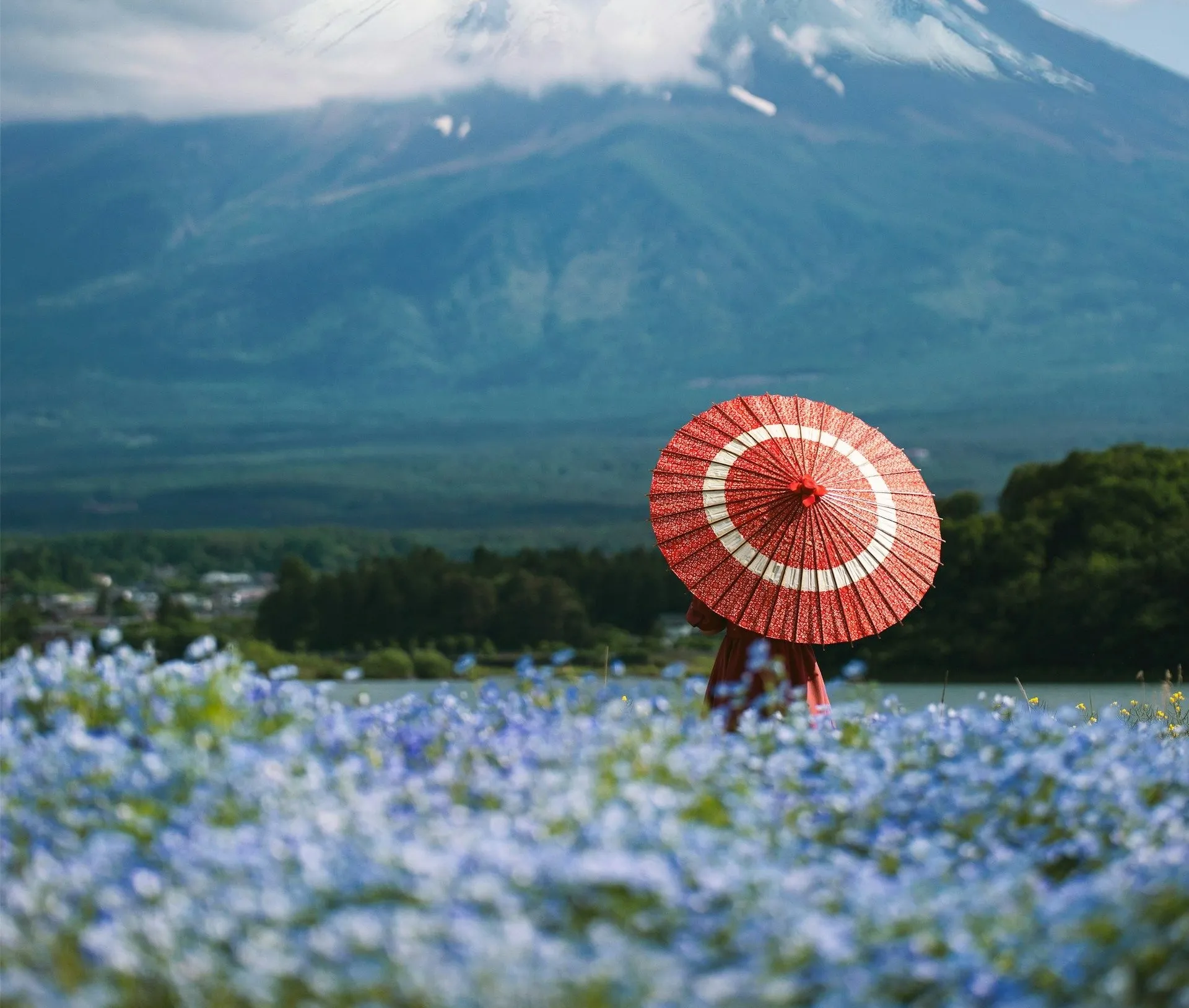 Custom Tours - Tours by Japan Travel