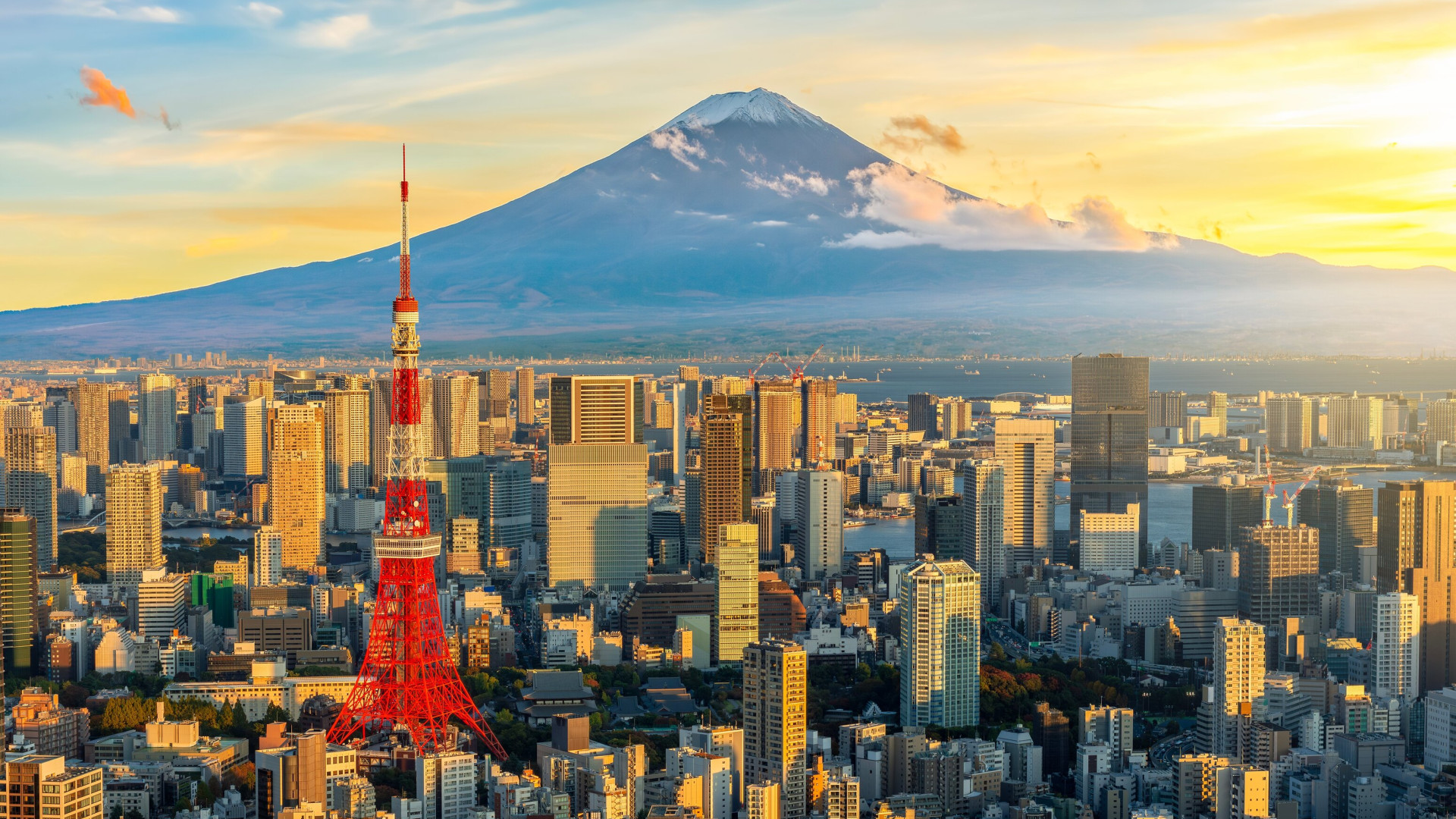Japan’s First Blooms: Plum, Sakura & Spring Festivals - Tours by Japan ...